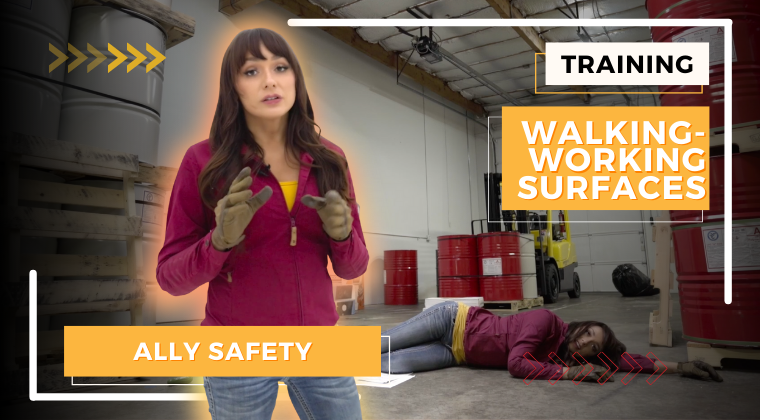 Walking-Working Surface Safety Training - Ally Safety